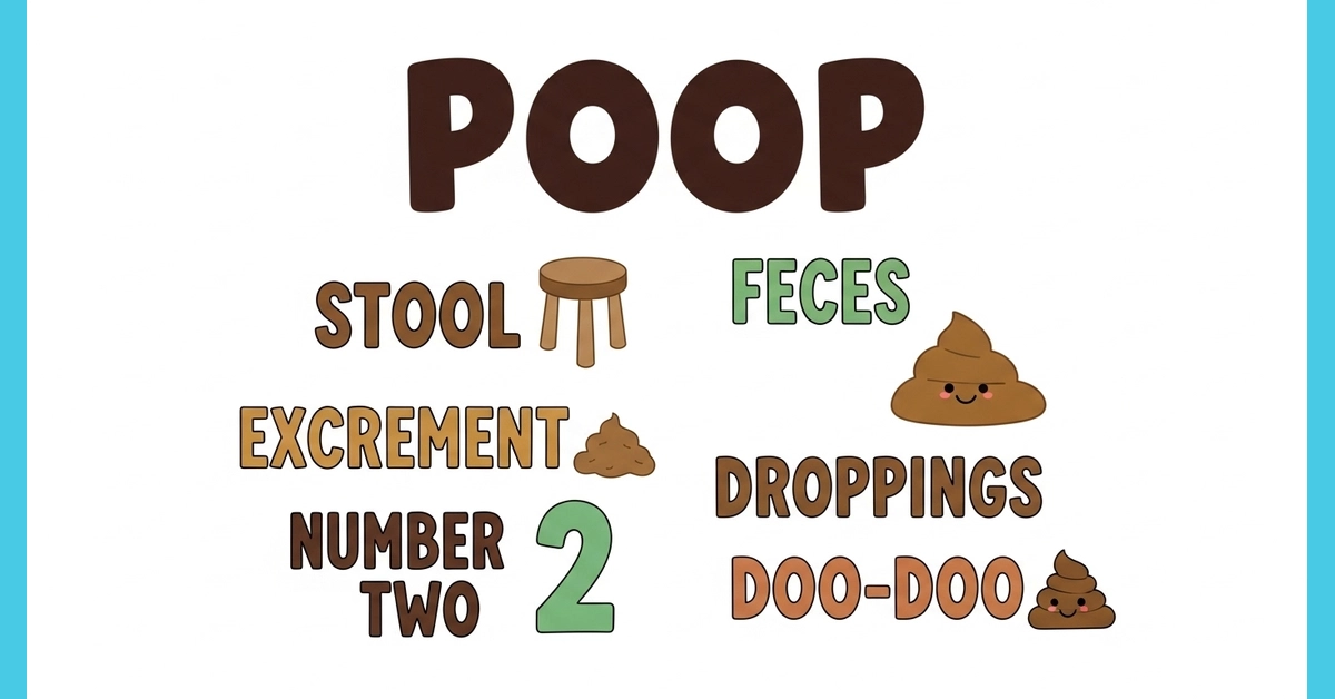 Synonyms for Poop: 50 Simple, Polite and Useful Examples [2026]